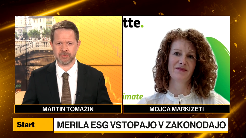 Markizeti: Merila ESG premalo podjetij vidi kot priložnost | Bloomberg ...