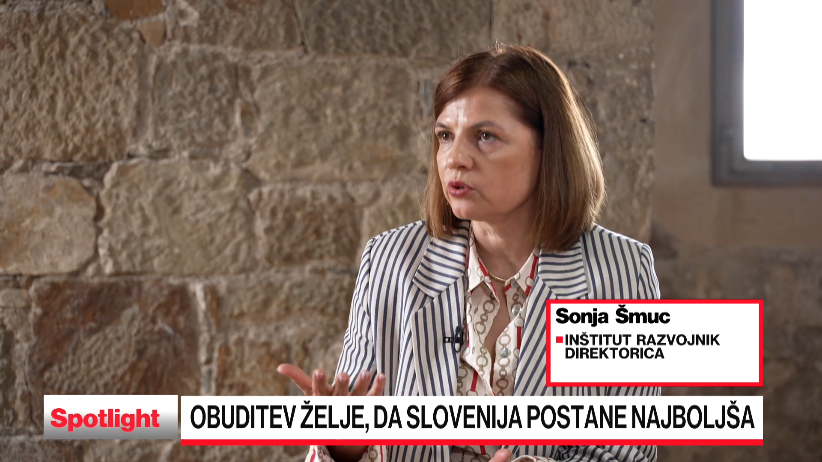 Cilj novega think tanka Razvojnik je promocija idej za razvojni preboj ...